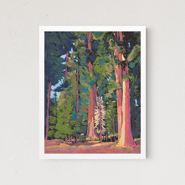California Redwood National Park – The Crafted Prints